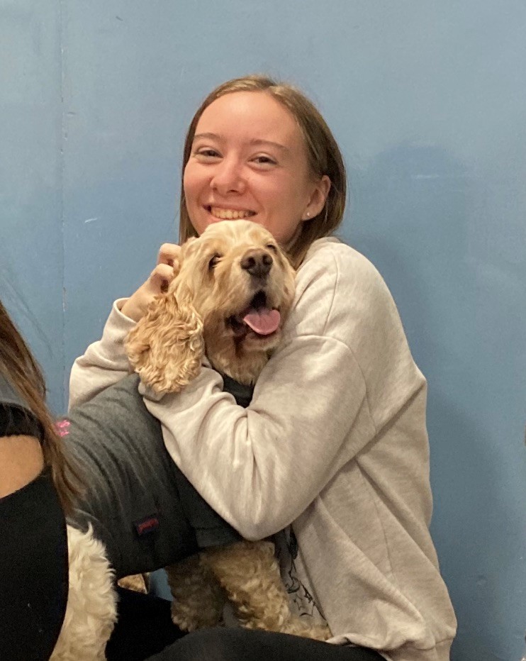 Why I love the collegiate system – The Durham Student